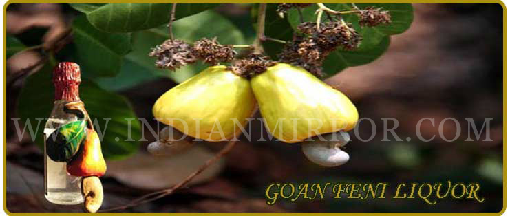 HISTORY OF GOAN FENNY/ FENI-INDIANMIRROR