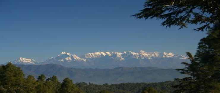 Binsar Wildlife Sanctuary, Binsar Wildlife Sanctuary in India.
