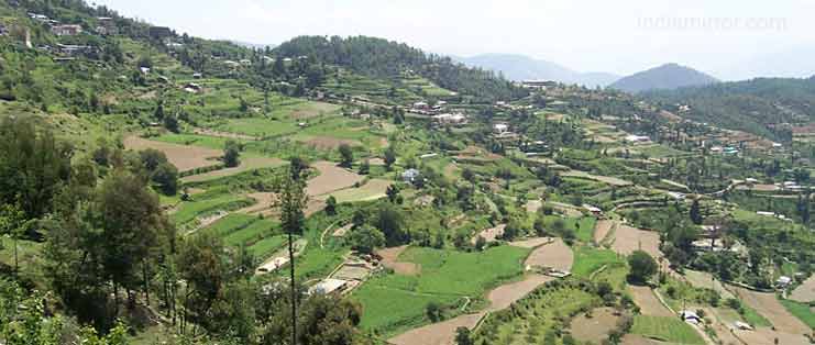 Chail, History of Chail, Tourism Chail, Hotels in Chail, Chail-Himachal ...