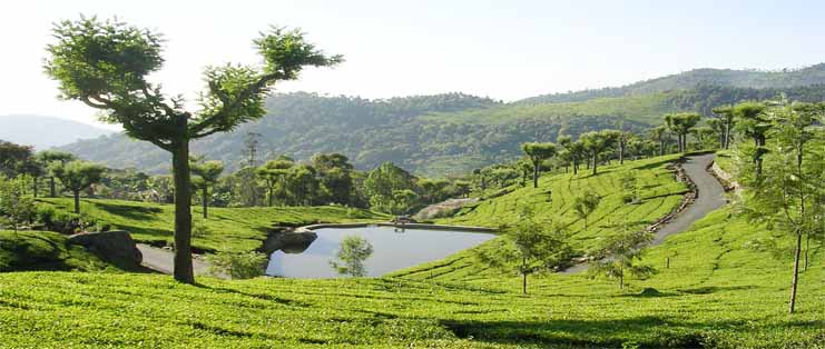 Kotagiri - Tourism Destination, Travelling India, Temples India ...