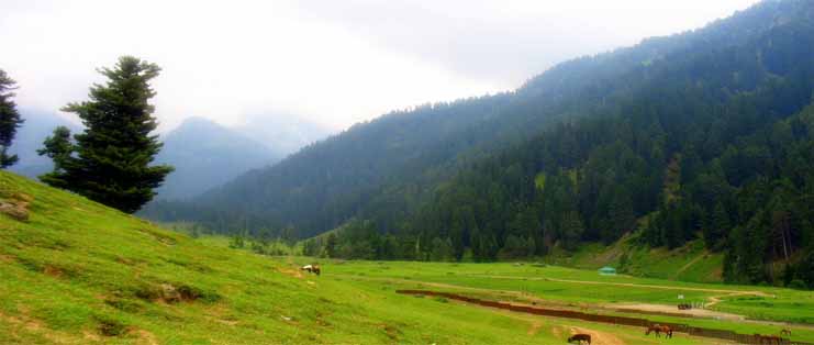 Indian Tourism - Pahalgam, pahalgam Live Weather Forecast